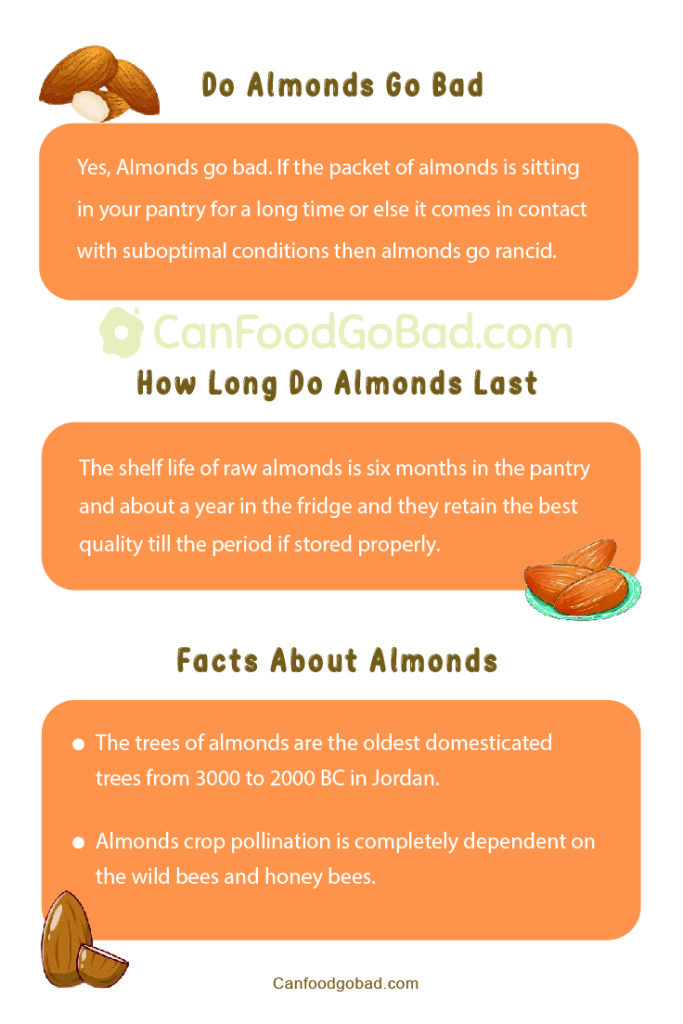 Can Almonds Go Bad And Make You Sick? – How Long Does It Take For An ...