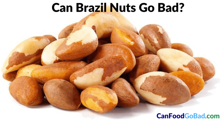 Can Brazil Nuts Go Bad: How Long Do Brazil Nuts Last? – Can Food Go Bad