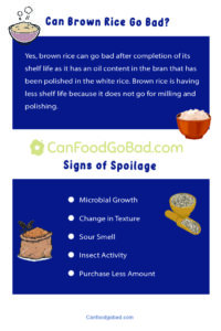 Can Brown Rice Go Bad? – How to Properly Store Brown Rice for Maximum ...
