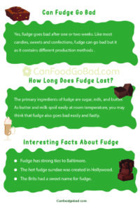 Can Fudge Go Bad? – How To Store Fudge For Maximum Freshness? – Can ...
