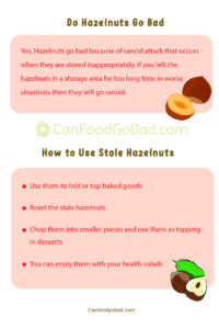 Can Hazelnuts Go Bad? – Everything You Need To Know About Hazelnuts ...