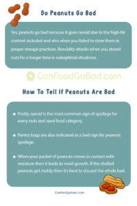 Understand the Expiry of Peanuts: Can They Go Bad? – Can Food Go Bad