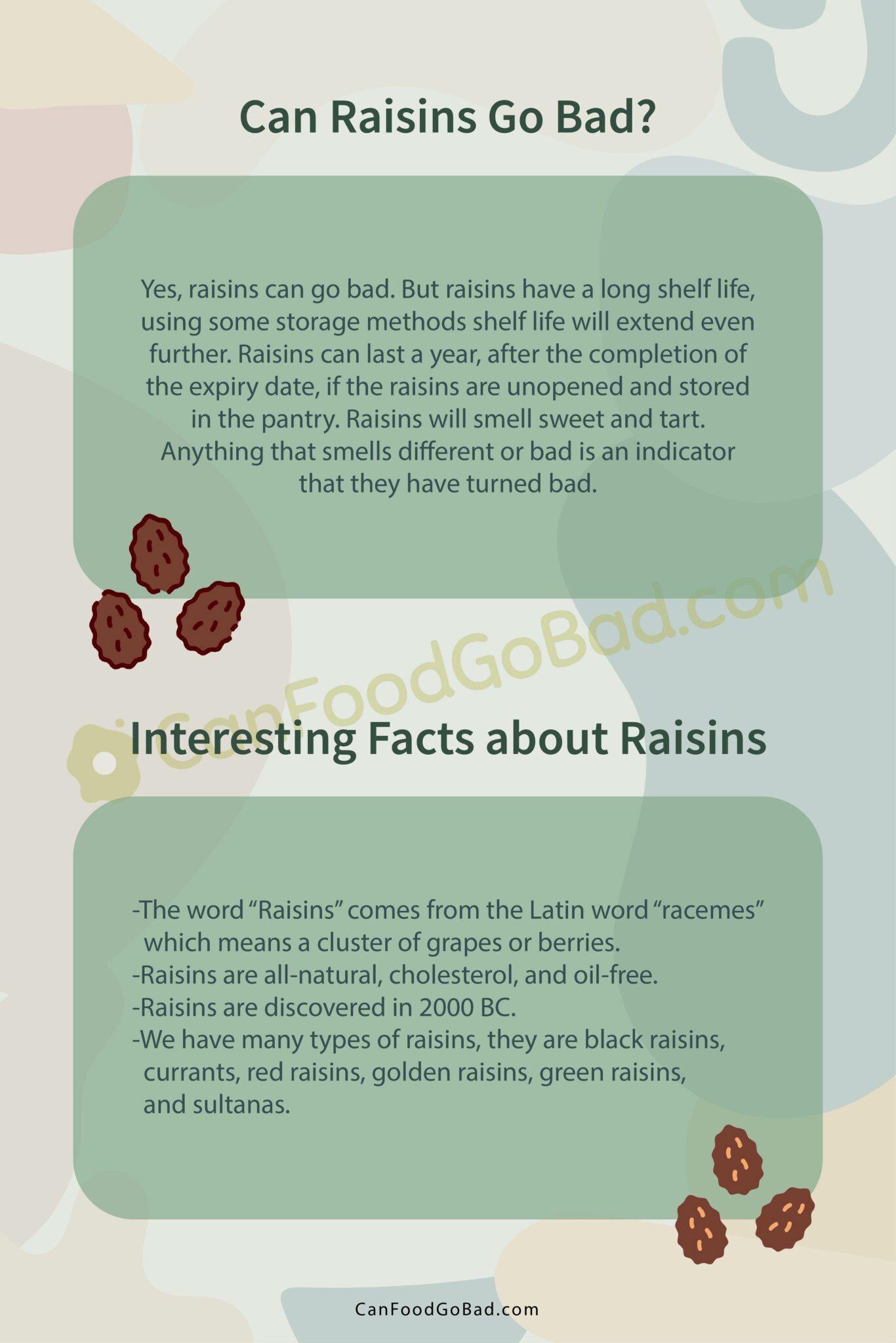Can Raisins Go Bad & Expire? – A Guide to Checking Raisins for Spoilage ...