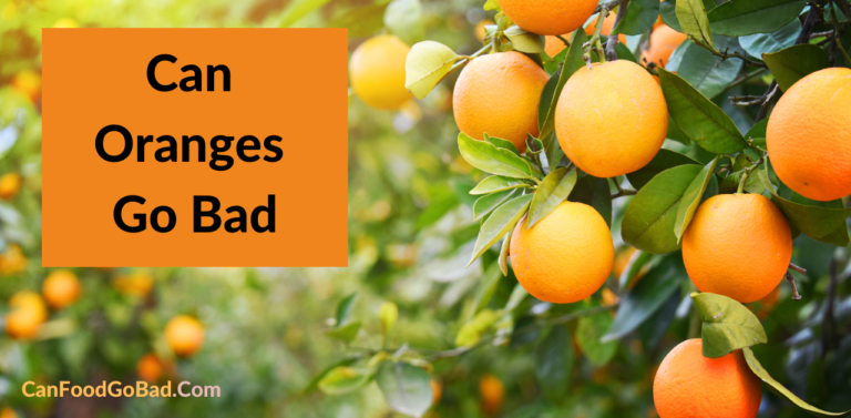 Can Oranges Go Bad? – Explore How to Store Oranges to Keep Them Fresh ...