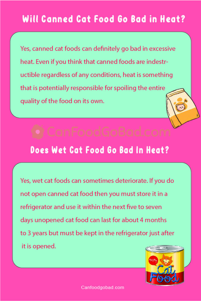 Does Dry Cat Food Go Bad? – Tips & Tricks To Store Your Cat Food Fresh ...