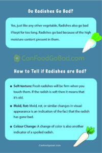 Do Radishes Go Bad: How To Store Radishes For Maximum Freshness? – Can ...
