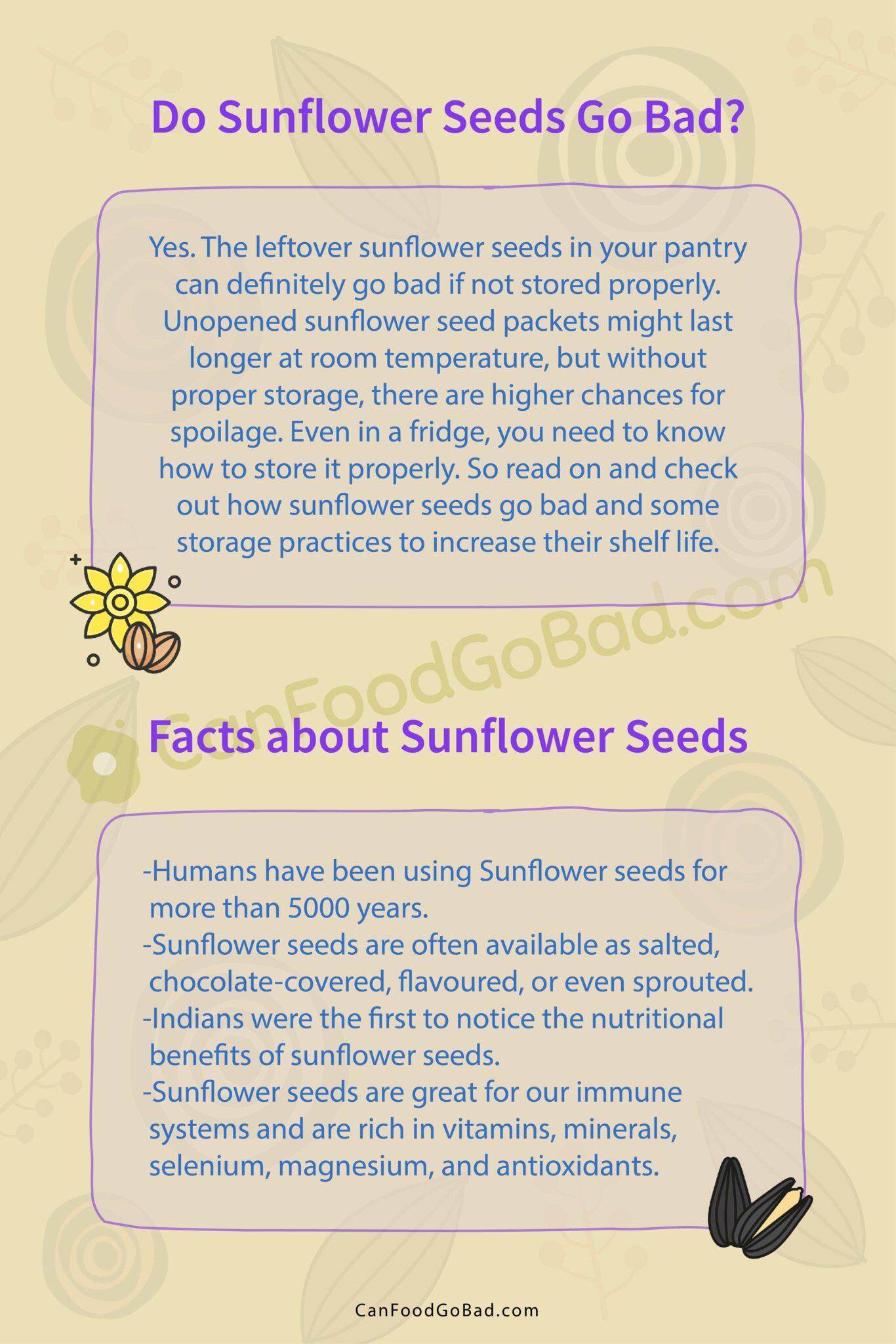 Do Sunflower Seeds Go Bad? – Expiry Dates, Spoilage, and Storage Tips ...
