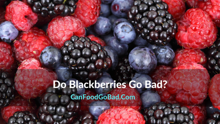 Do Blackberries Go Bad? How To Tell If Blackberries Are Bad?: Expert ...