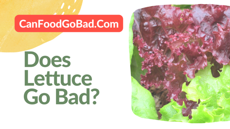 Does Lettuce Go Bad? – From Crunchy Greens to Compost: A Guide to ...