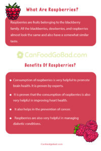 How Long Do Raspberries Last – Best Ways To Preserve Raspberries – Can ...