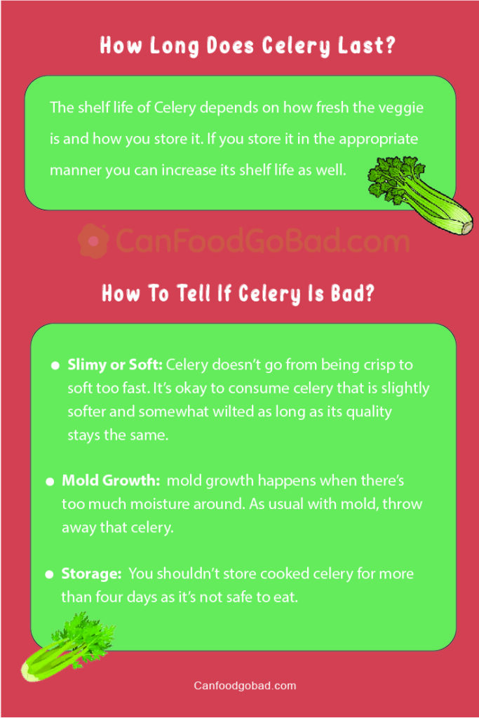 How Long Does Celery Last – Best Ways To Store Celery To Keep It Fresh – Can Food Go Bad