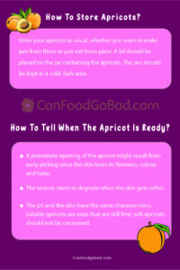 How To Store Apricots So They Don’t Bruise – Can Food Go Bad – Can Food ...