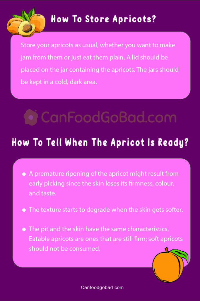 How To Store Apricots So They Don’t Bruise – Can Food Go Bad – Can Food ...