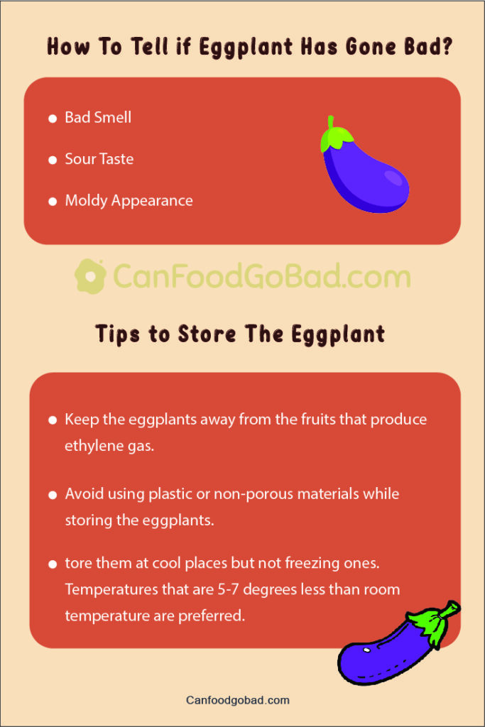 Vegetables – Can Food Go Bad