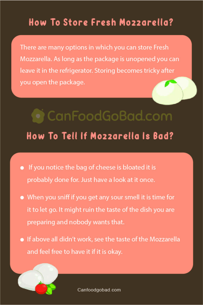 From Fridge to Table: Mastering the Art of Storing Fresh Mozzarella ...