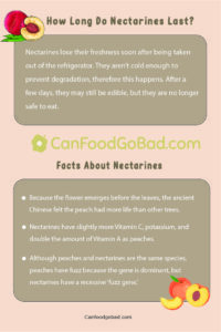 How To Store Nectarines To Keep Them Fresh – 5 Intersting Facts to Know ...