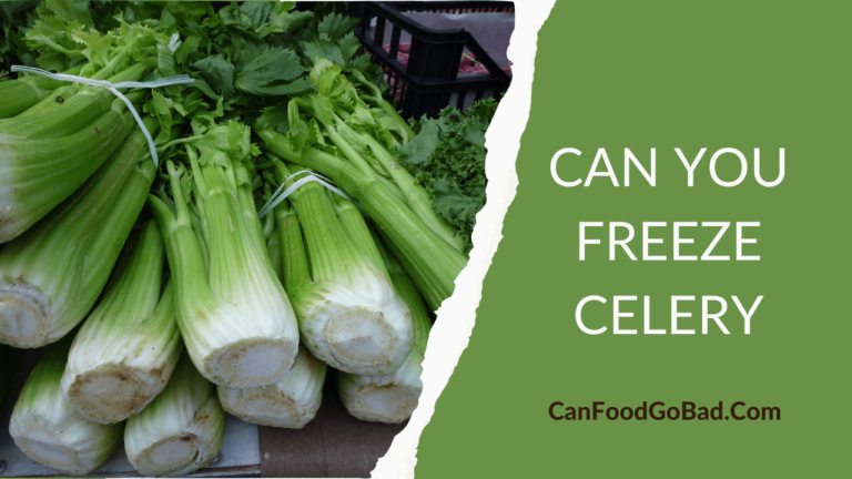 Can You Freeze Celery? – All You Need to Know On Freezing Celery – Can ...