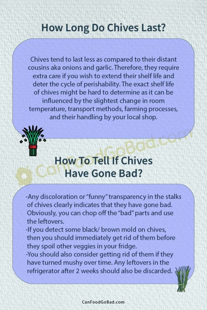 How Long Do Chives Last – The Best Possible Way To Store Chives 2024 ...