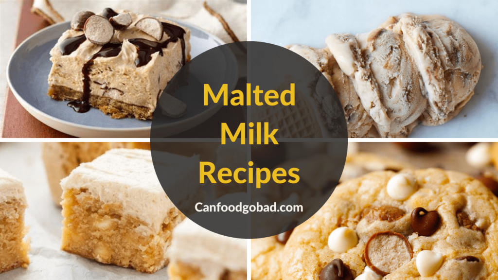15+ Malted Milk Recipes For Dessert Lovers – Check The Collection Of ...